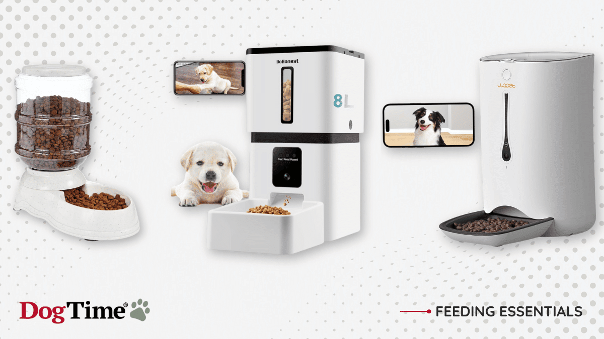 7 Best Automatic Dog Feeders to Save Time in 2025 - DogTime