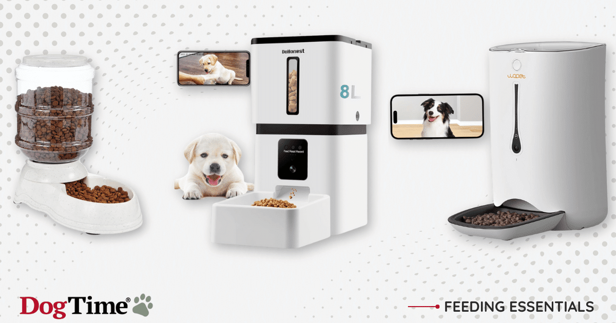 7 Best Automatic Dog Feeders to Save Time in 2025 - DogTime