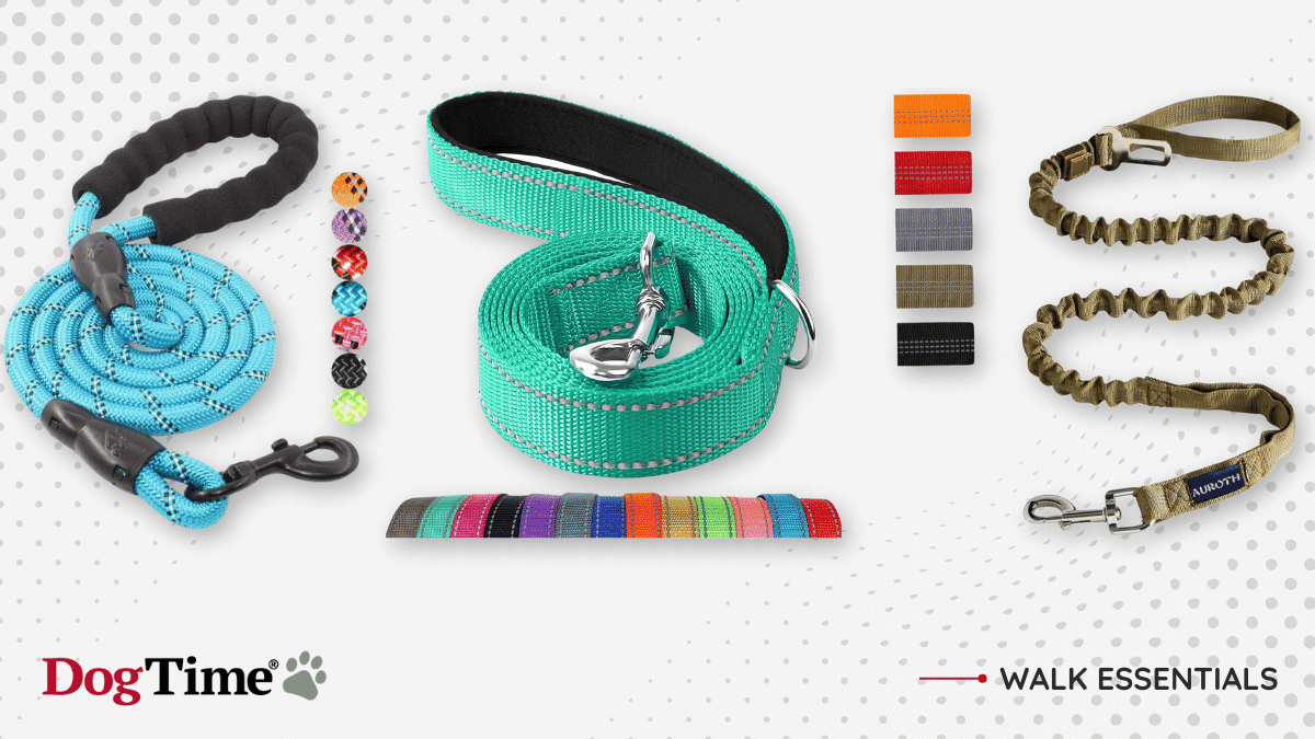 7 Best Dog Leashes That Are Trusted By Pet Parents in 2025