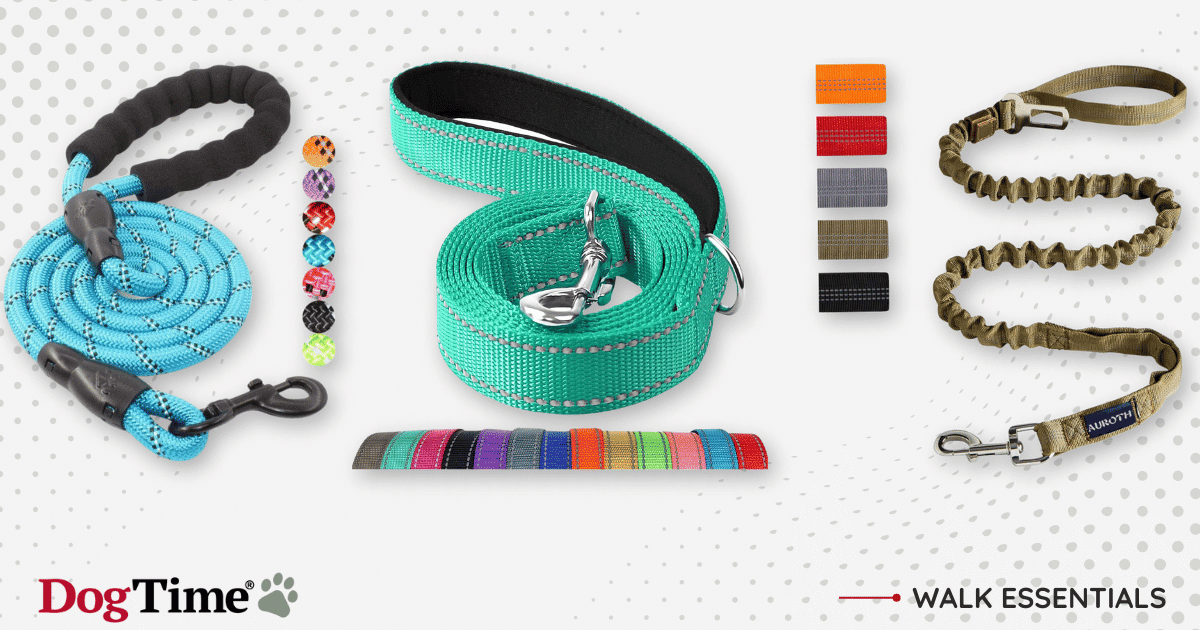 7 Best Dog Leashes That Are Trusted By Pet Parents in 2025