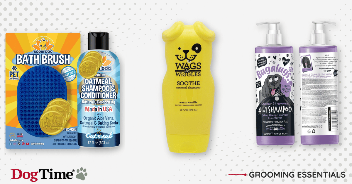 15 Best Dog Shampoos For Your Best Buddy’s Shiny Coat