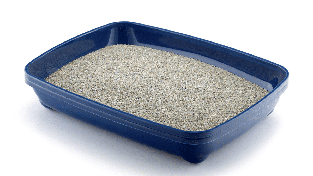 7 Best Dog Litter Boxes to Keep Your Home Mess-free in 2025