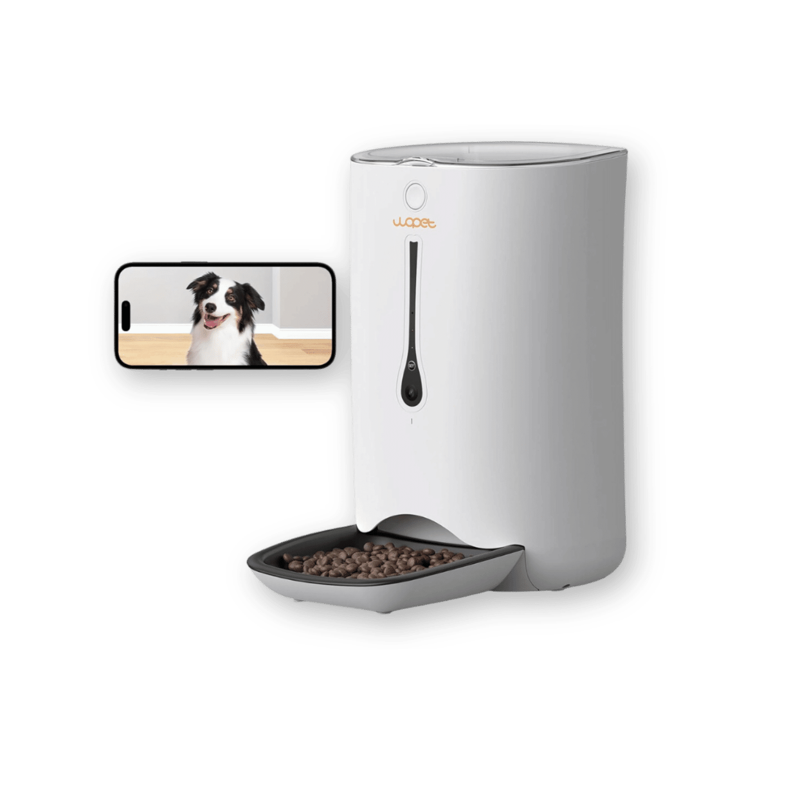 7 Best Automatic Dog Feeders to Save Time in 2025 - DogTime