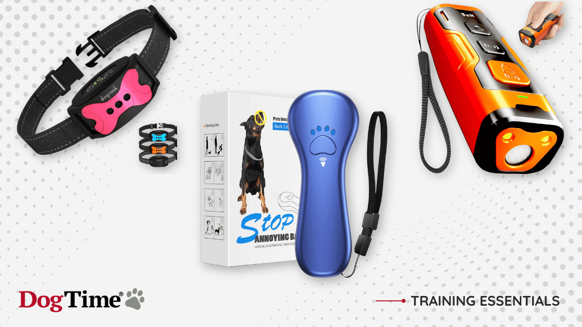 Best Anti-Barking Devices for Dogs in 2025