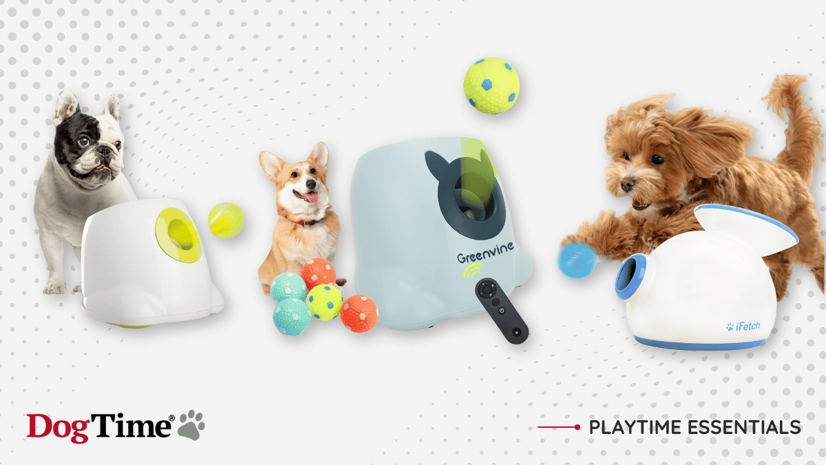 7 Best Dog Ball Launchers to Keep Your Pet Active in 2025 - DogTime