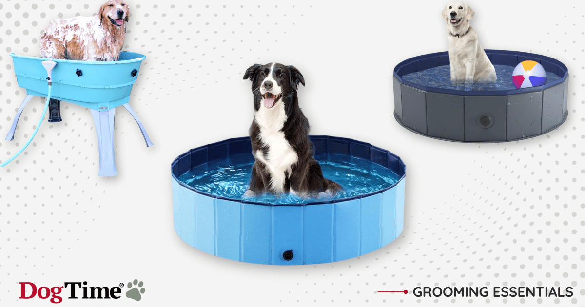 7 Best Dog Bathtubs to Give Your Pet a Splashing Good Time - DogTime