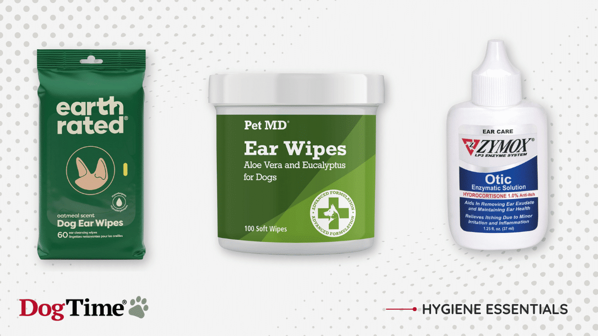 7 Best Dog Ear Cleaners That Work Wonders in 2025 - DogTime