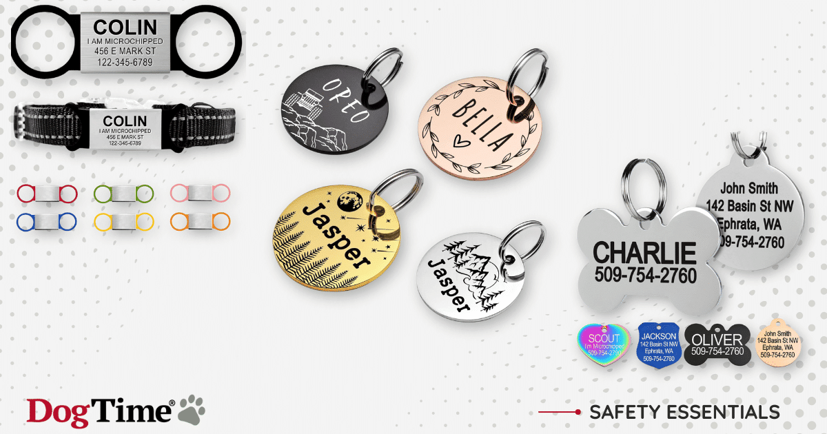 7 Best Dog Tags to Keep Your Pet Safe in 2025 - DogTime