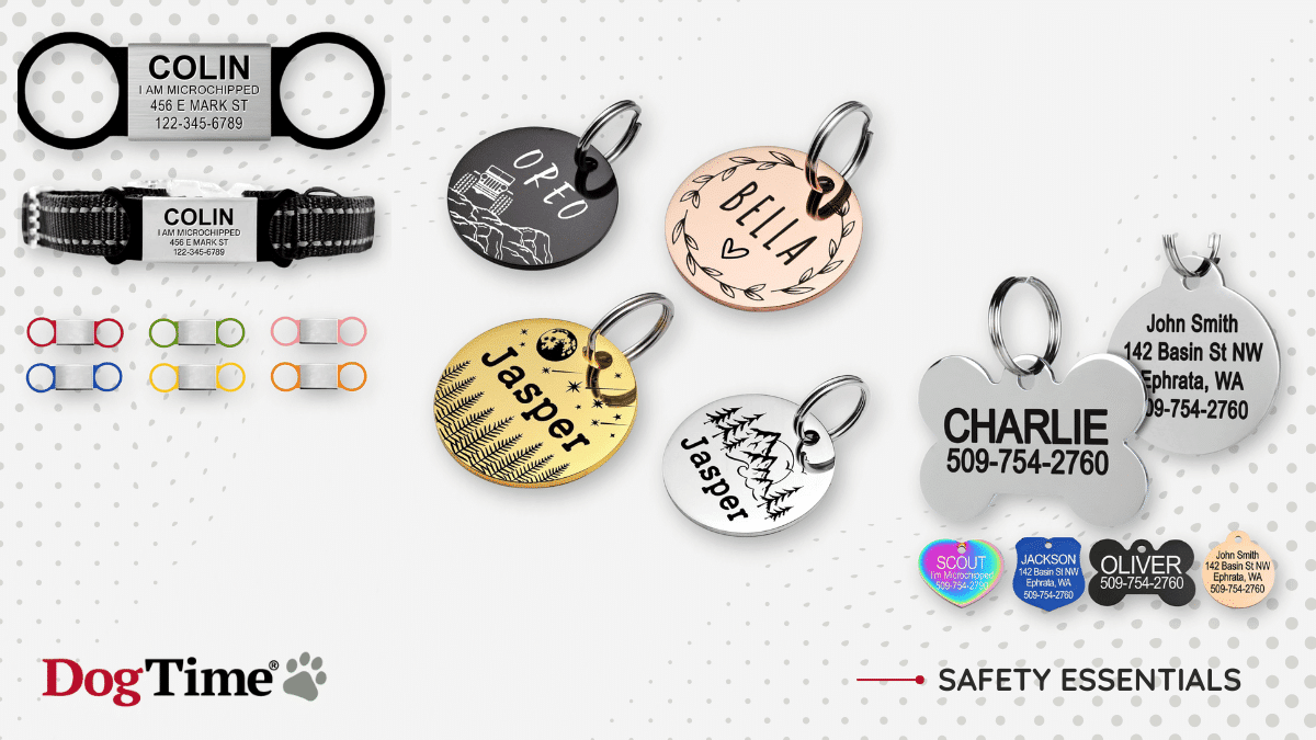 7 Best Dog Tags to Keep Your Pet Safe in 2025 - DogTime