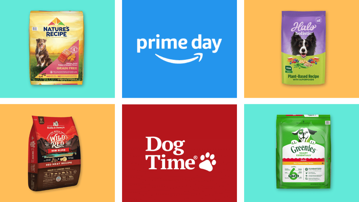 Dry Dog Food Prime Day Deals 2024