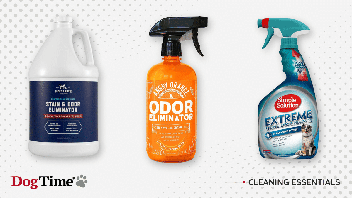 7 Best Pet Odor Eliminators to Try in 2025 - DogTime