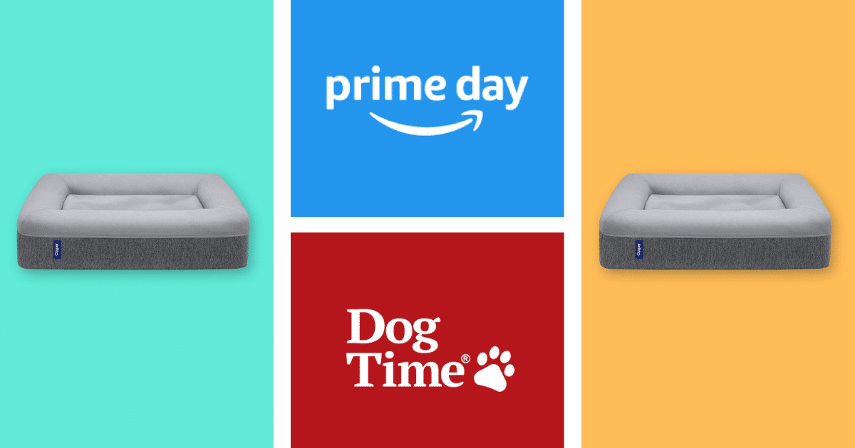 Casper Dog Bed — Amazon Prime Day 2024