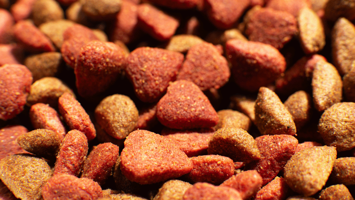 30 Best Dry Dog Foods You Can Buy in 2025
