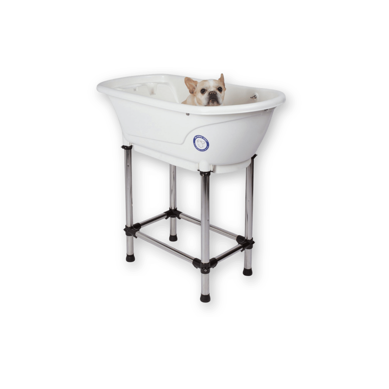 7 Best Dog Bathtubs to Give Your Pet a Splashing Good Time - DogTime