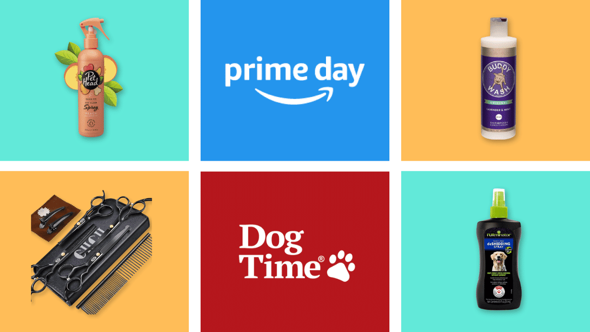 13 Best Dog Grooming Essential Deals for Prime Day 2024