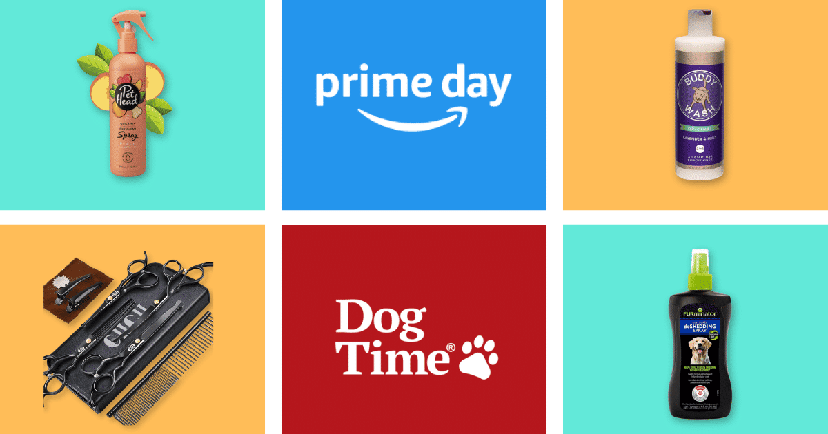 13 Best Dog Grooming Essential Deals for Prime Day 2024
