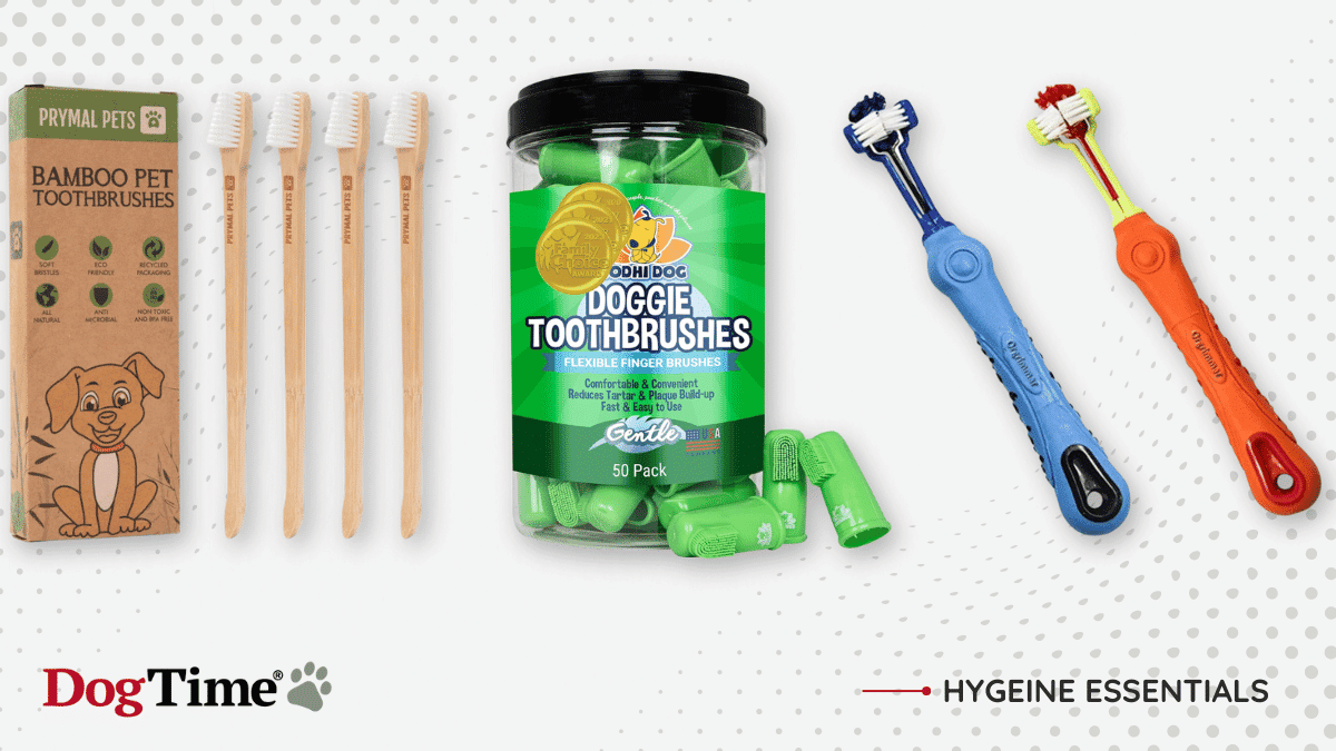 7 Best Dog Toothbrushes to Better Your Pet’s Dental Health in 2025 ...