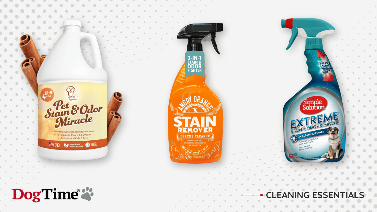 8 Best Enzyme Cleaners that Get Rid of Pet Odors and Stains - DogTime