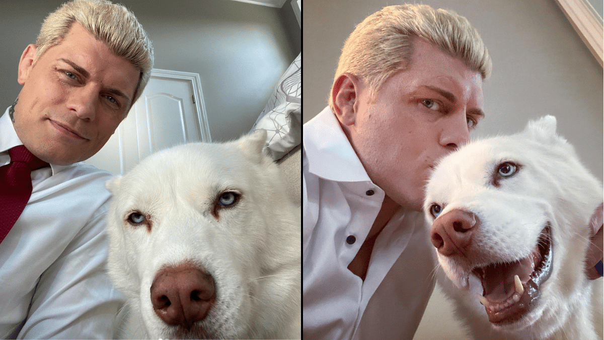 WWE's Cody Rhodes Reveals Why His Dog Pharaoh Won't Join Him on Tours ...