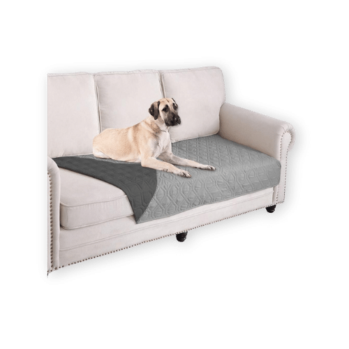 7 Best Couch Covers for Dogs, Approved by Pet Parents - DogTime