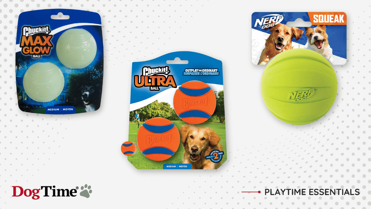 7 Best Dog Balls for Fetch — Our Editor’s Top Picks - DogTime