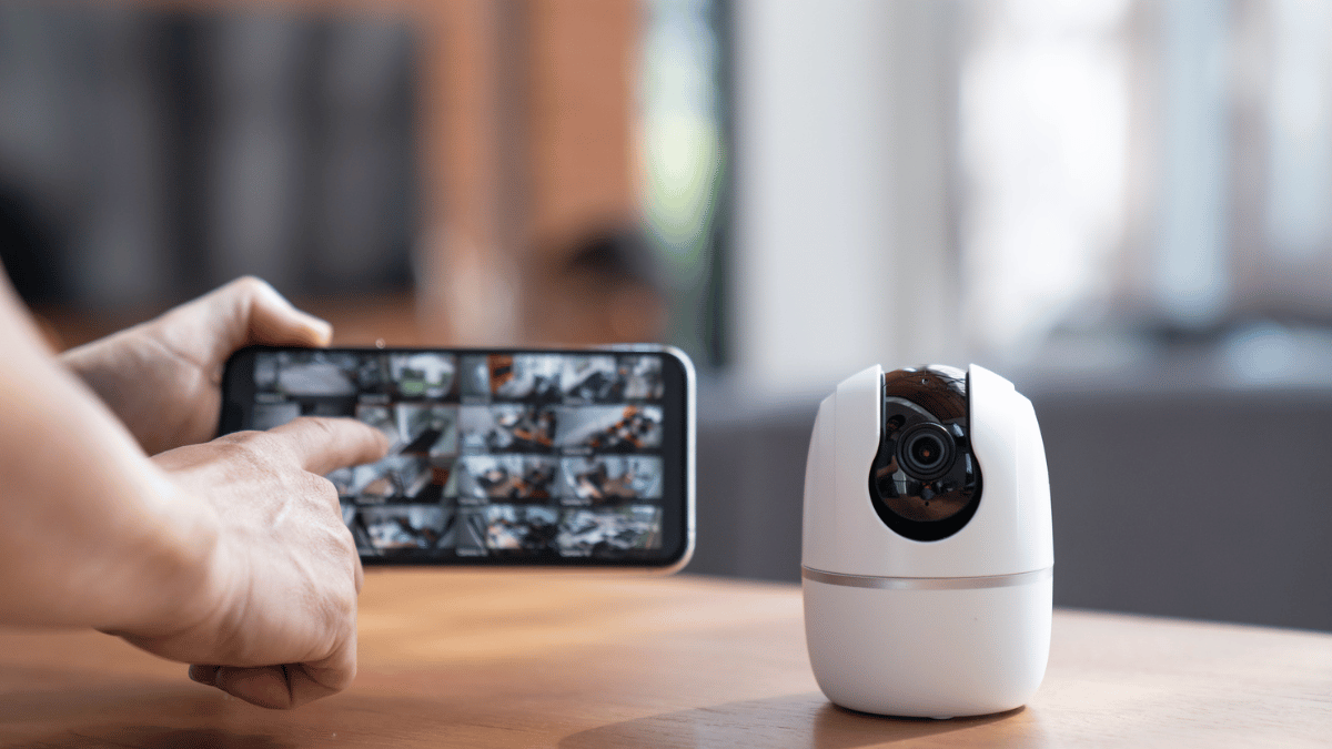 7 Best Dog Cameras of 2025 to Keep an Eye on Your Pet - DogTime