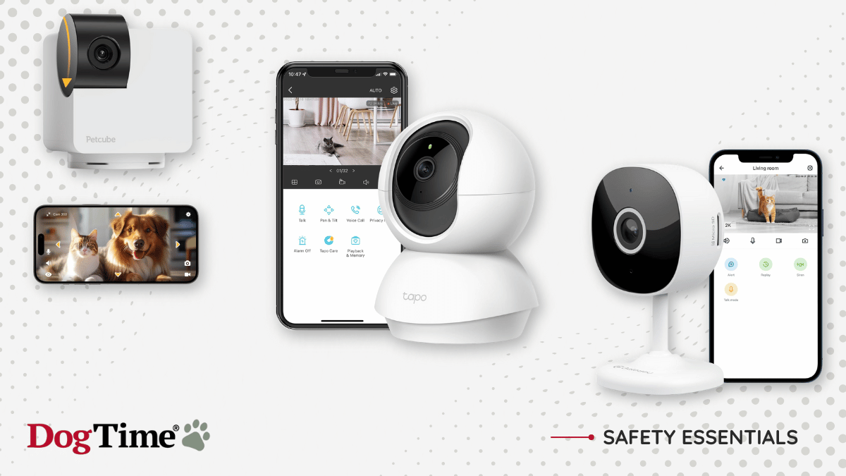 7 Best Dog Cameras of 2025 to Keep an Eye on Your Pet - DogTime