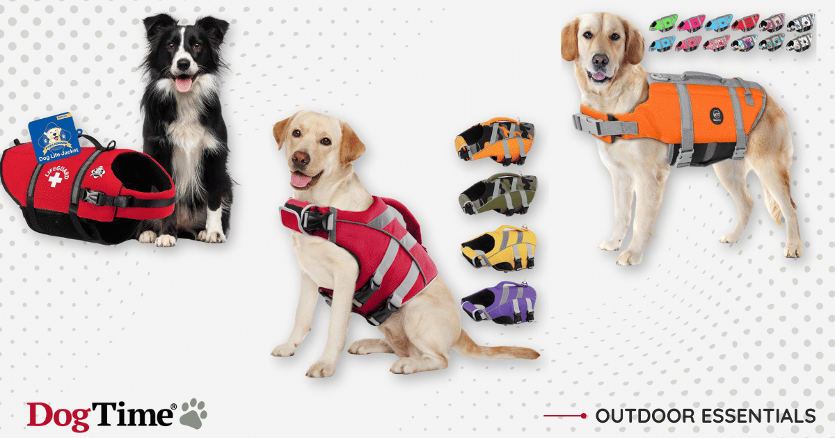 7 Best Dog Life Jackets for Fun Water Adventures in 2025 - DogTime