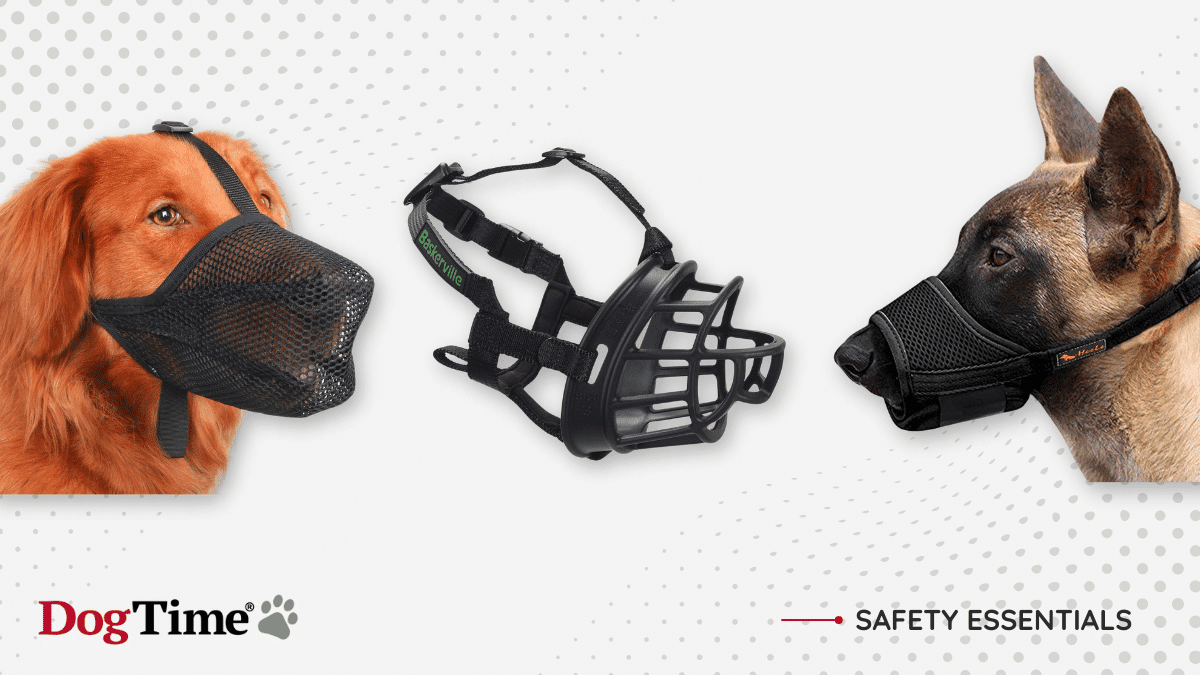 7 Best Dog Muzzles for All Breeds in 2025
