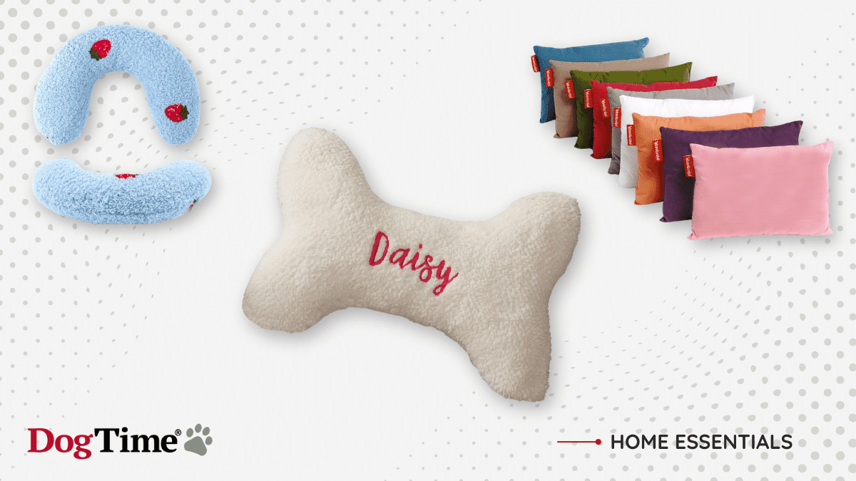 7 Best Dog Pillows for a Good Night’s Sleep - DogTime