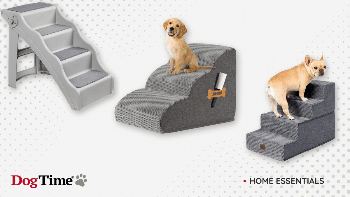 7 Best Dog Stairs for Your Pooch, Our Top Picks - DogTime