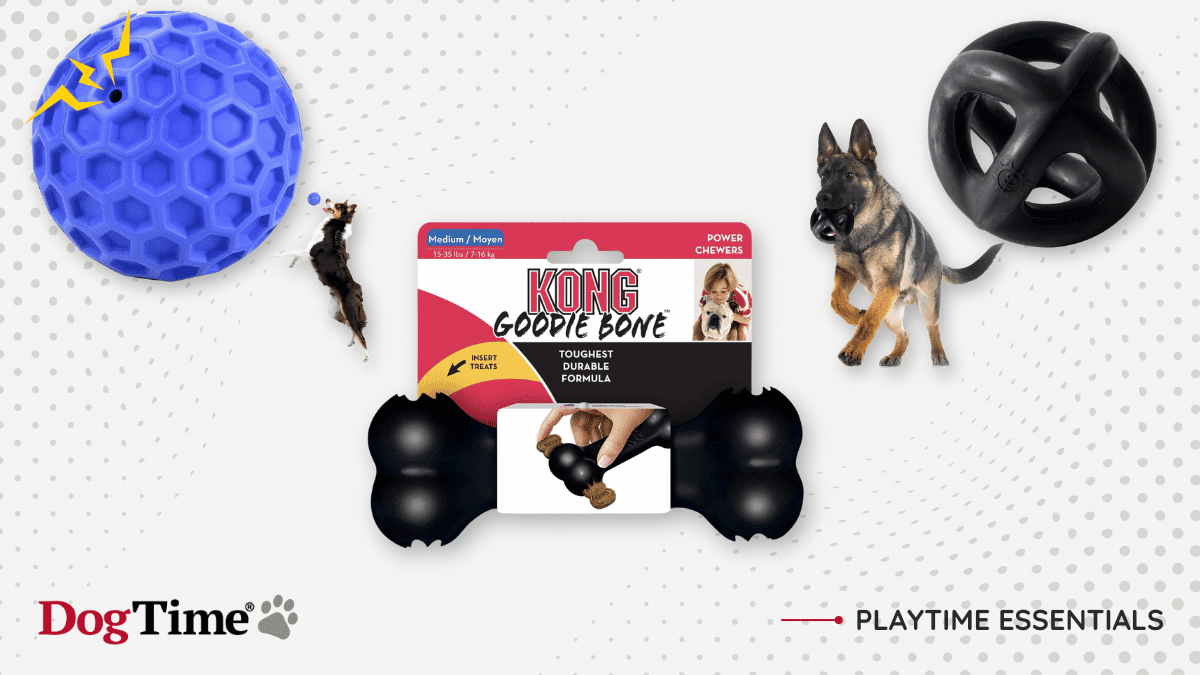 7 Best Indestructible Dog Toys for Champion Chompers - DogTime