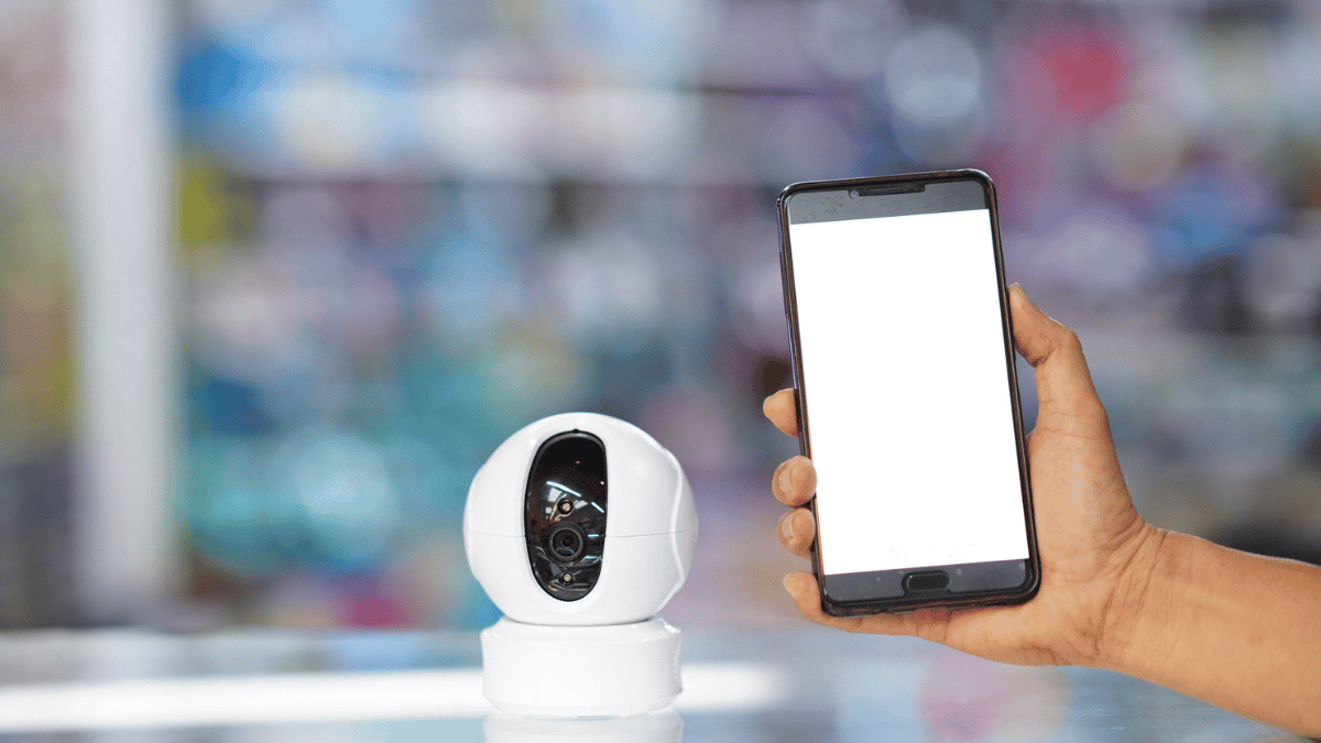 7 Best Dog Cameras of 2025 to Keep an Eye on Your Pet - DogTime