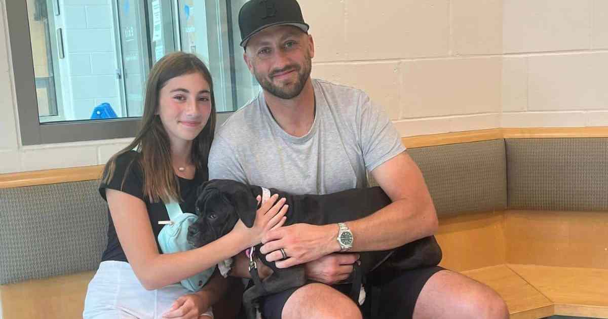 Ex-Patriots QB Brian Hoyer Praised for ‘Life-Changing’ Boxers’ Rescue ...