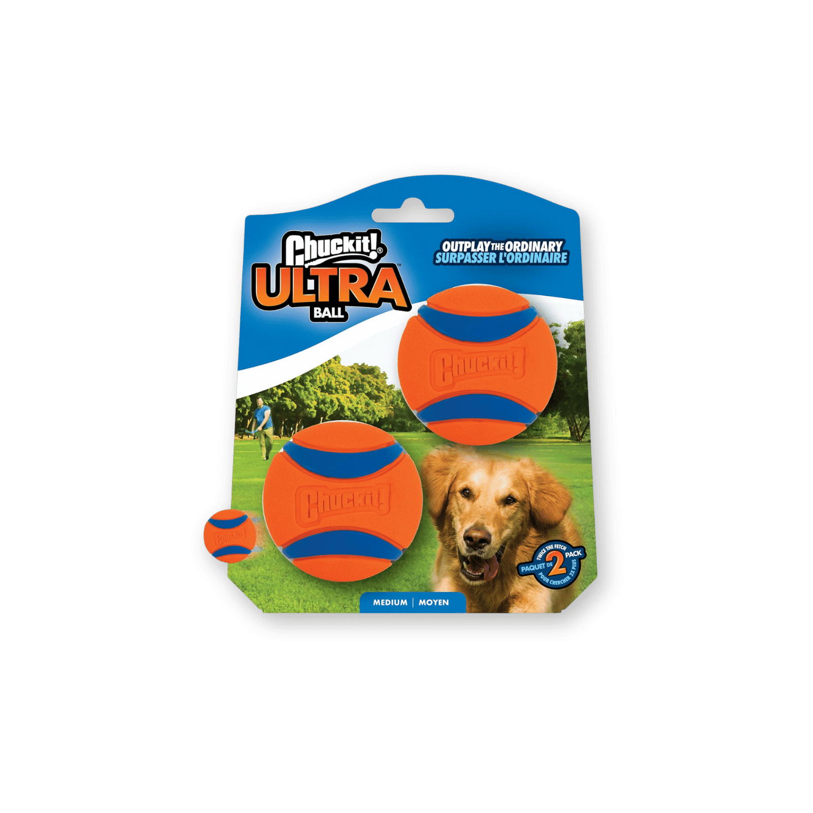 7 Best Dog Balls for Fetch — Our Editor’s Top Picks - DogTime