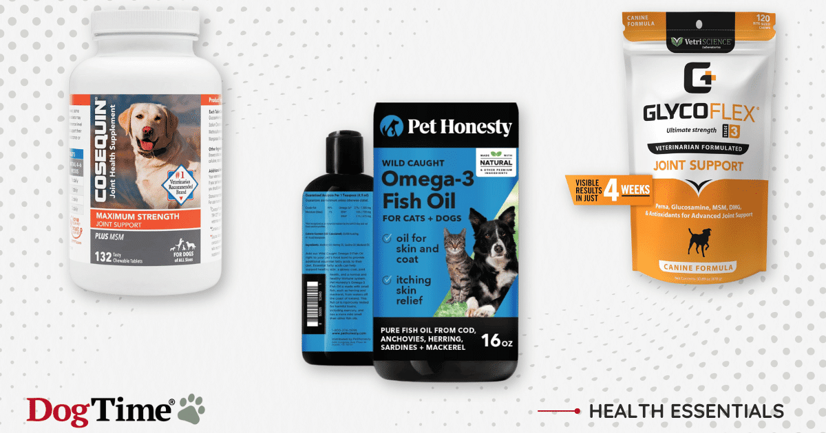 7 Best Joint Supplements for Dogs in 2024 — Vet-approved Picks