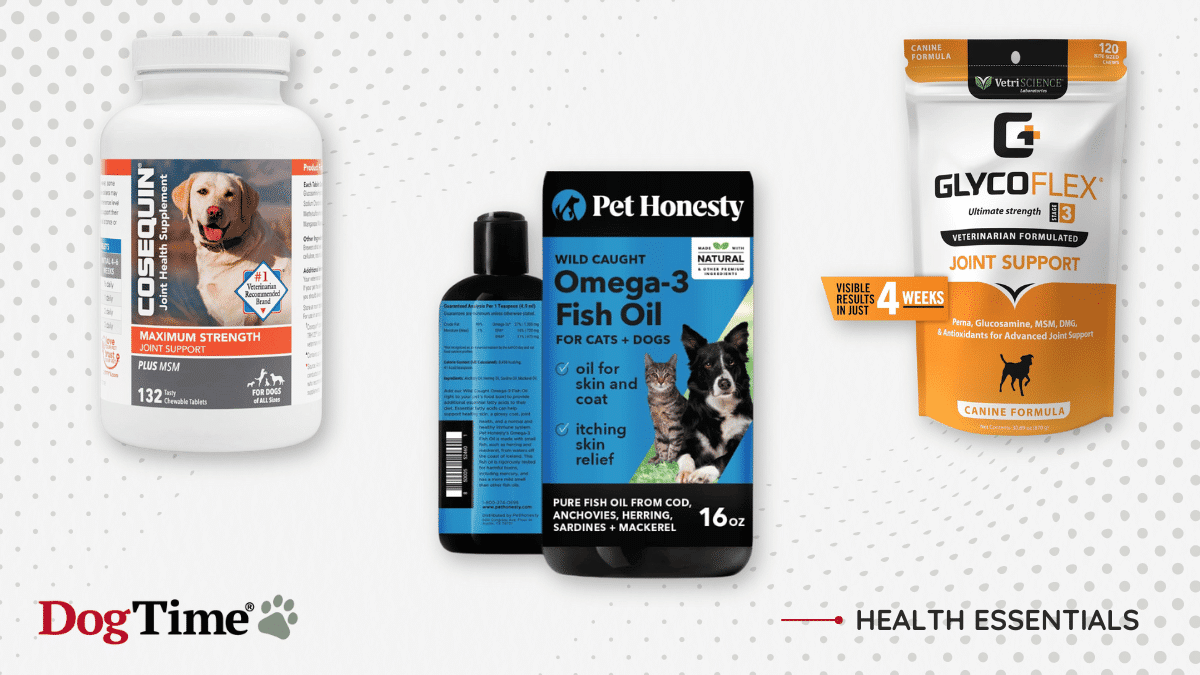 7 Best Joint Supplements for Dogs in 2024 — Vet-approved Picks