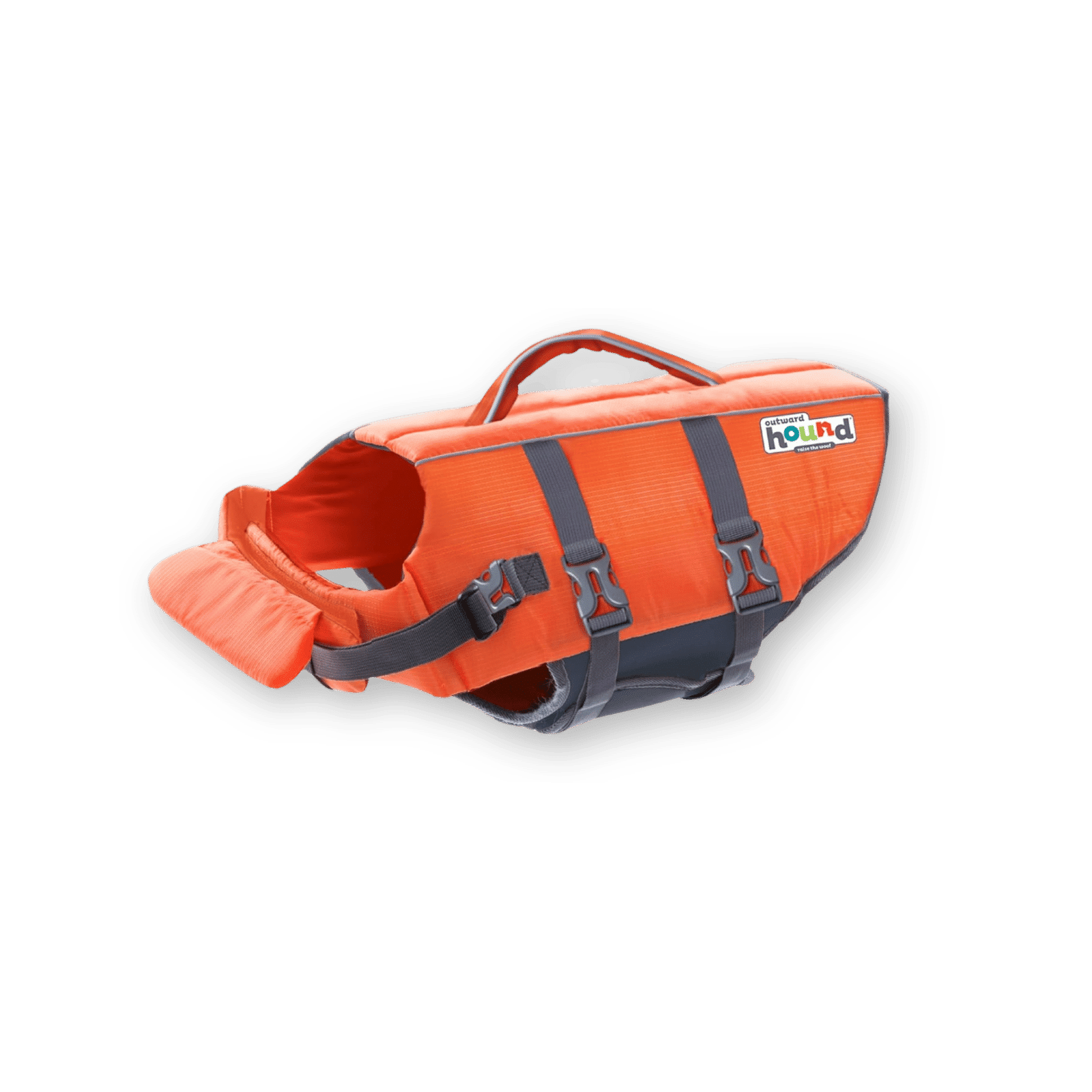 7 Best Dog Life Jackets for Fun Water Adventures in 2025 - DogTime