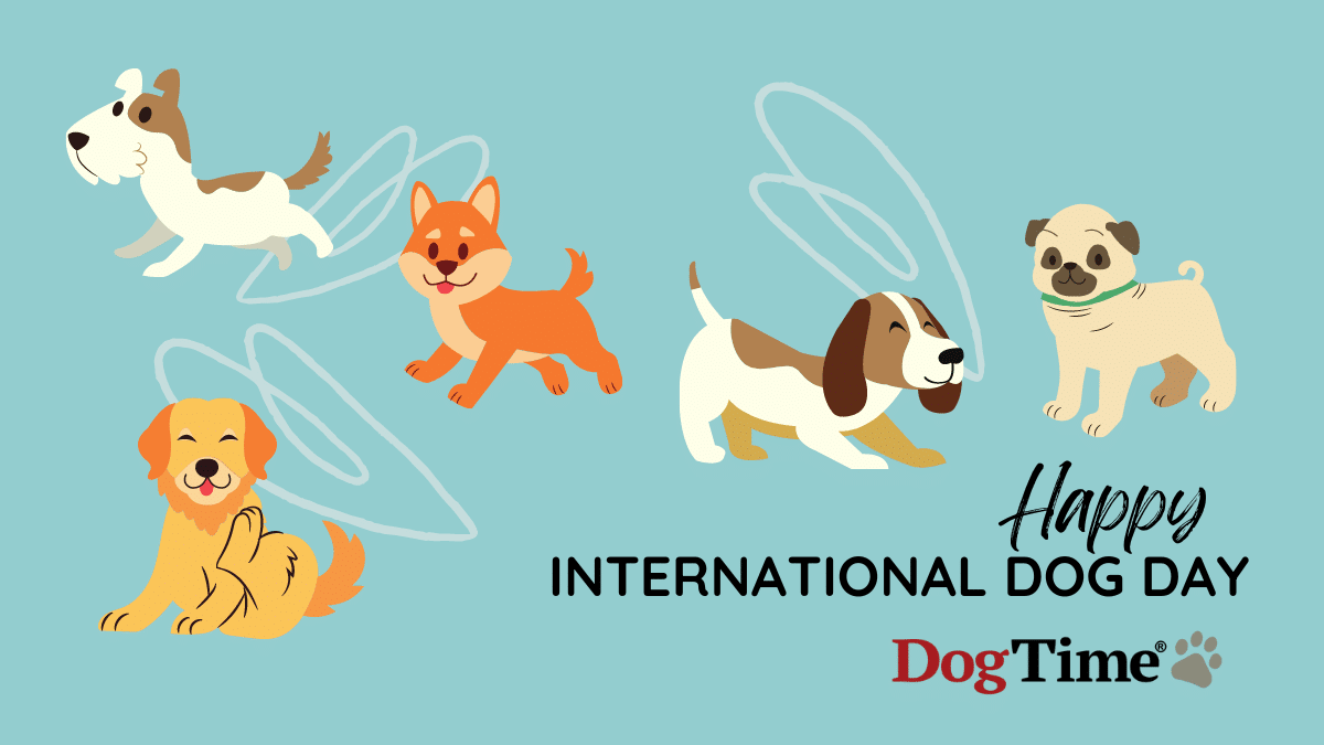 Happy National Dog Day! Join The Celebration On August 26th - DogTime