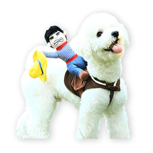 42 Best Dog Costumes for Halloween 2024