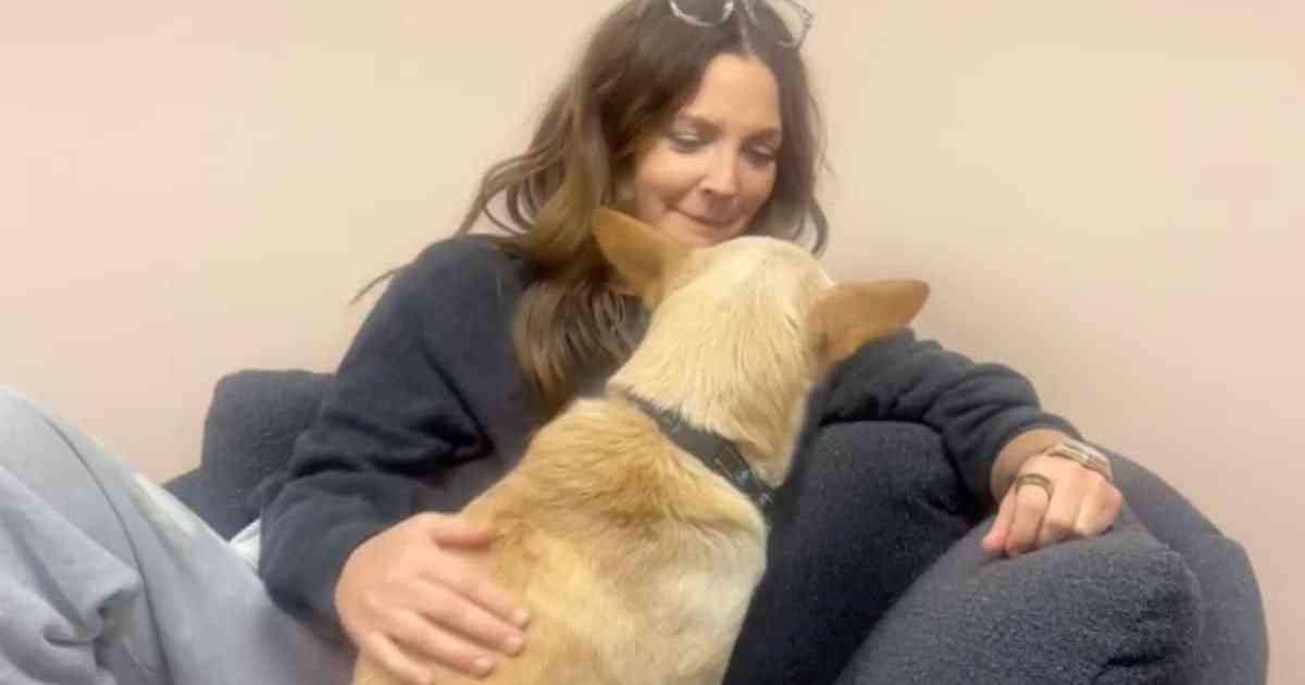 Drew Barrymore's Dog Chews on Eva Mendes' Dress During Talk Show - DogTime