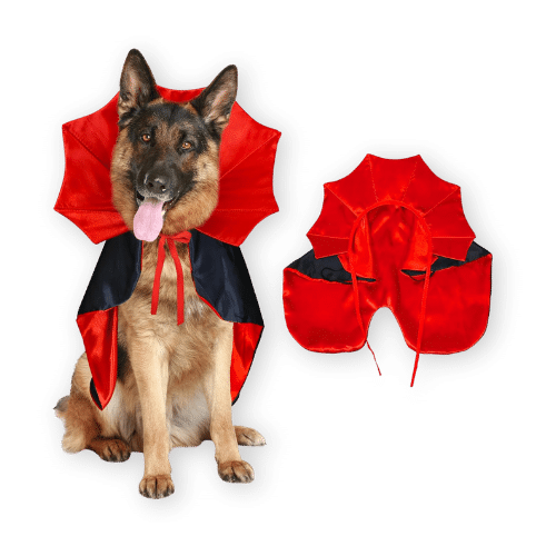 42 Best Dog Costumes for Halloween 2024