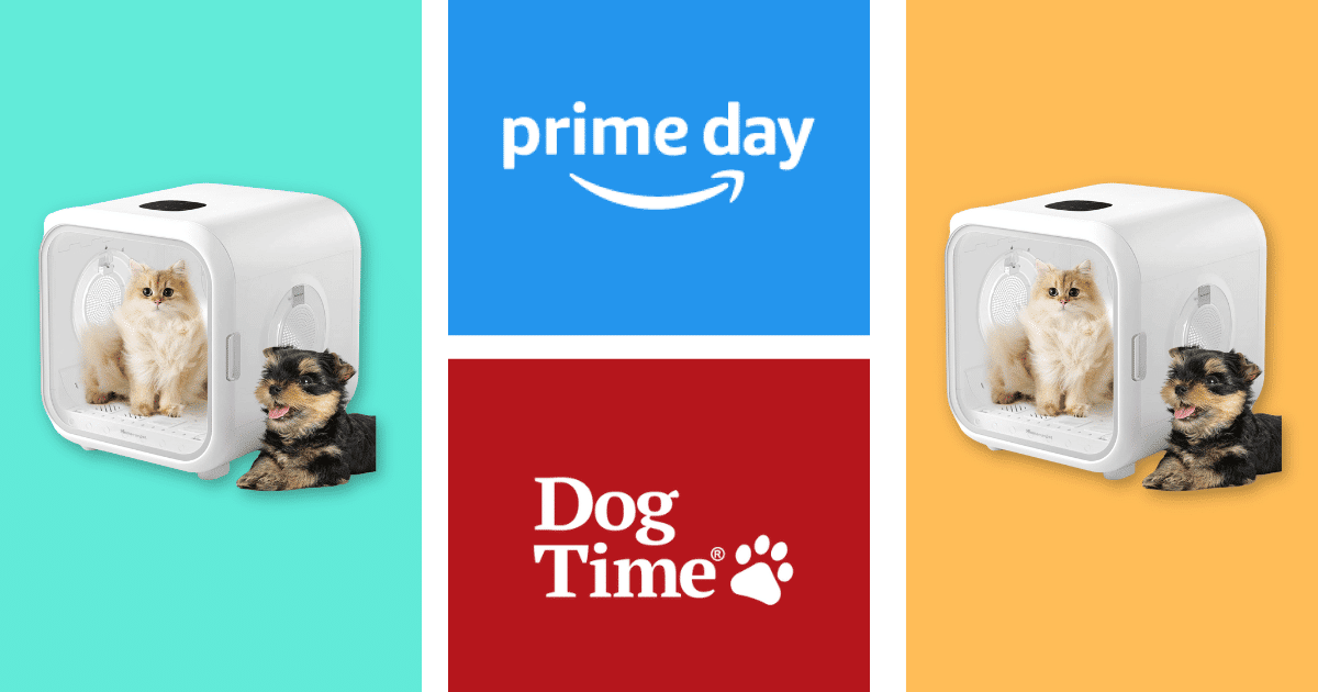HomeRunPet Drybo Plus Automatic Pet Dryer Is 31% Off — Prime Big Deal ...