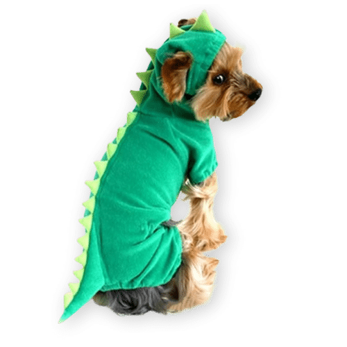 42 Best Dog Costumes for Halloween 2024