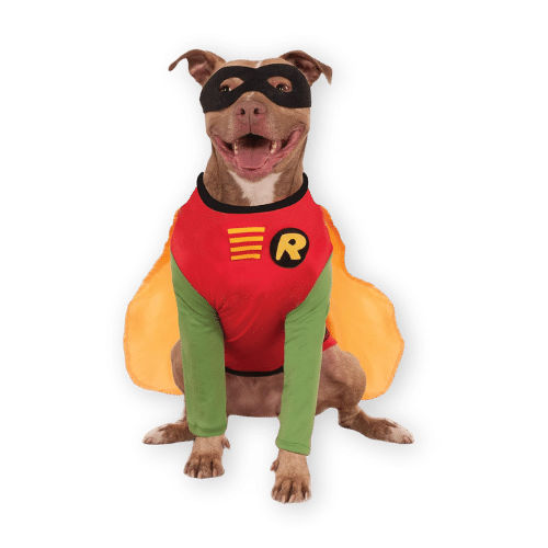 42 Best Dog Costumes for Halloween 2024