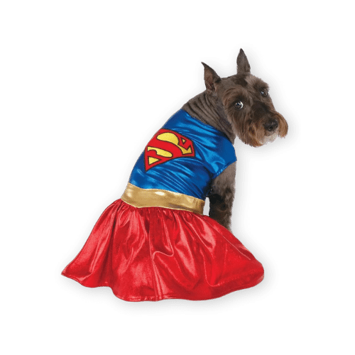42 Best Dog Costumes for Halloween 2024