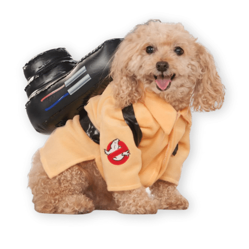 42 Best Dog Costumes for Halloween 2024