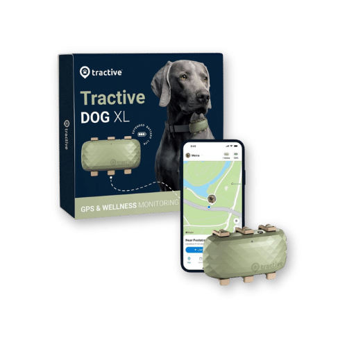 Tractive XL GPS & Health Monitoring Device Is 40% Off — Prime Big Deal Days
