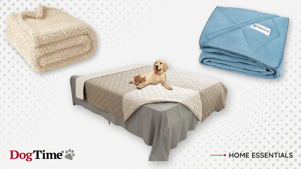 7 Best Dog Blankets to Keep Your Furry Friend Comfy and Cozy