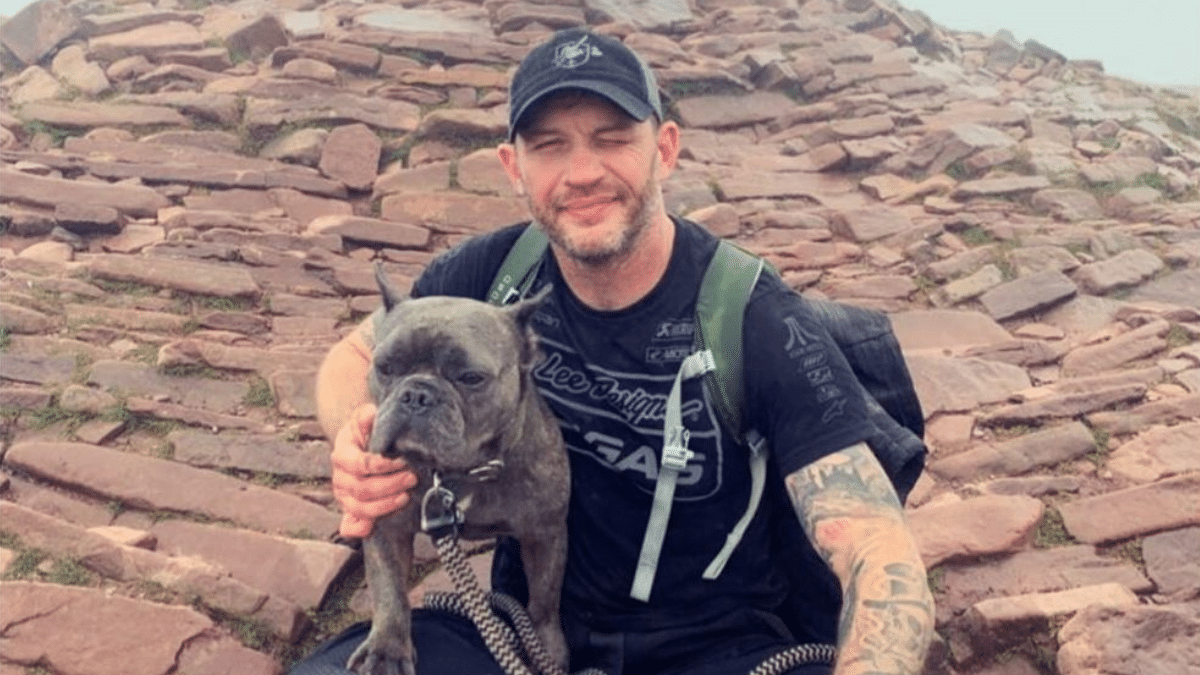 Tom Hardy’s Dog Gets Adorably Clingy by the End of ‘Venom’ Interview ...